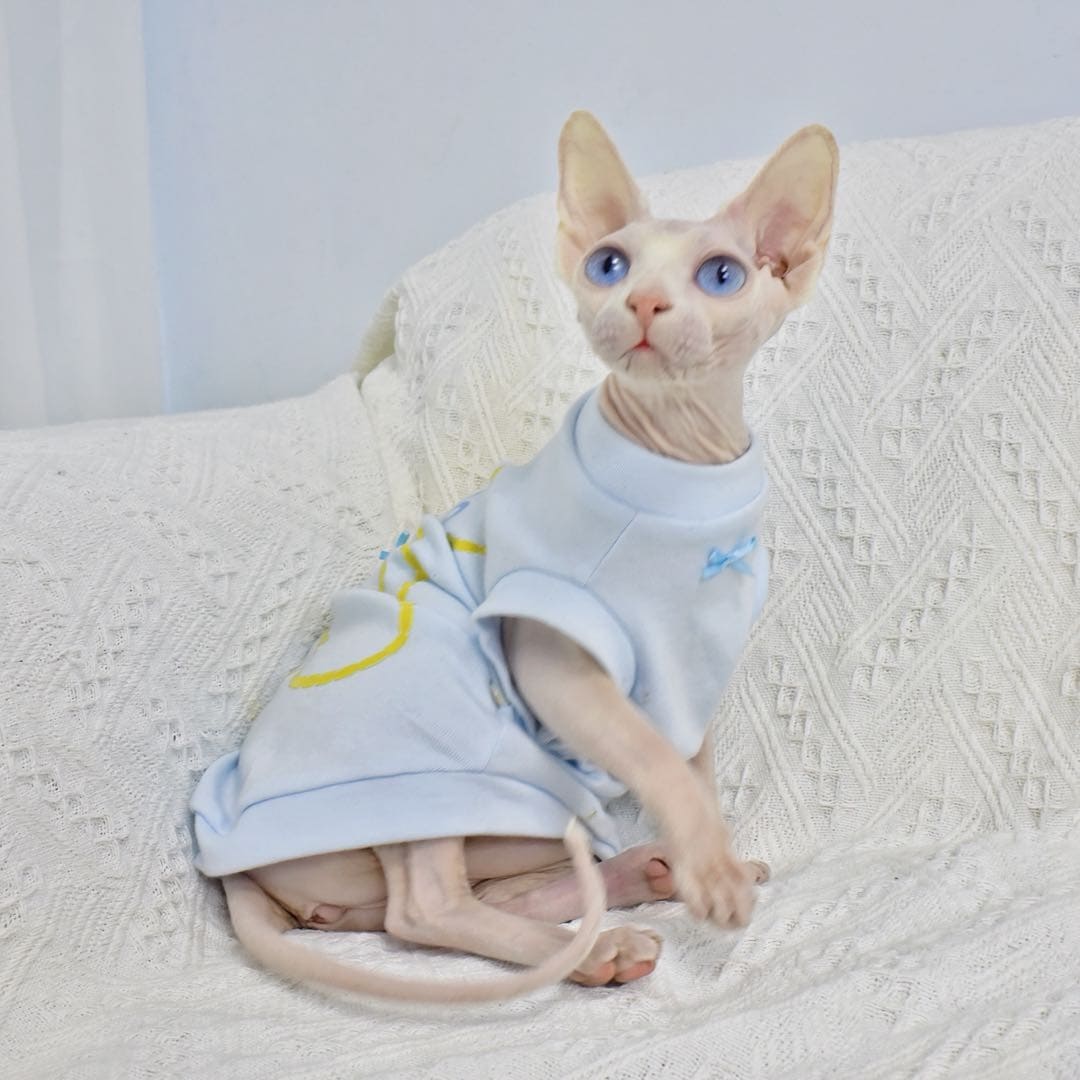 Summer vests for sphynx cat & hairless cat | Breathable bear pattern