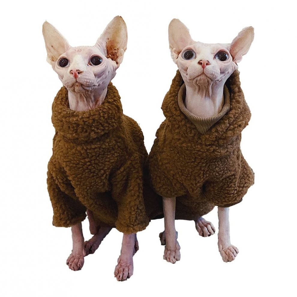 Sweaters for Sphynx Cats | Sphynx Kitten Sweater,Cat Sweater-Turtleneck