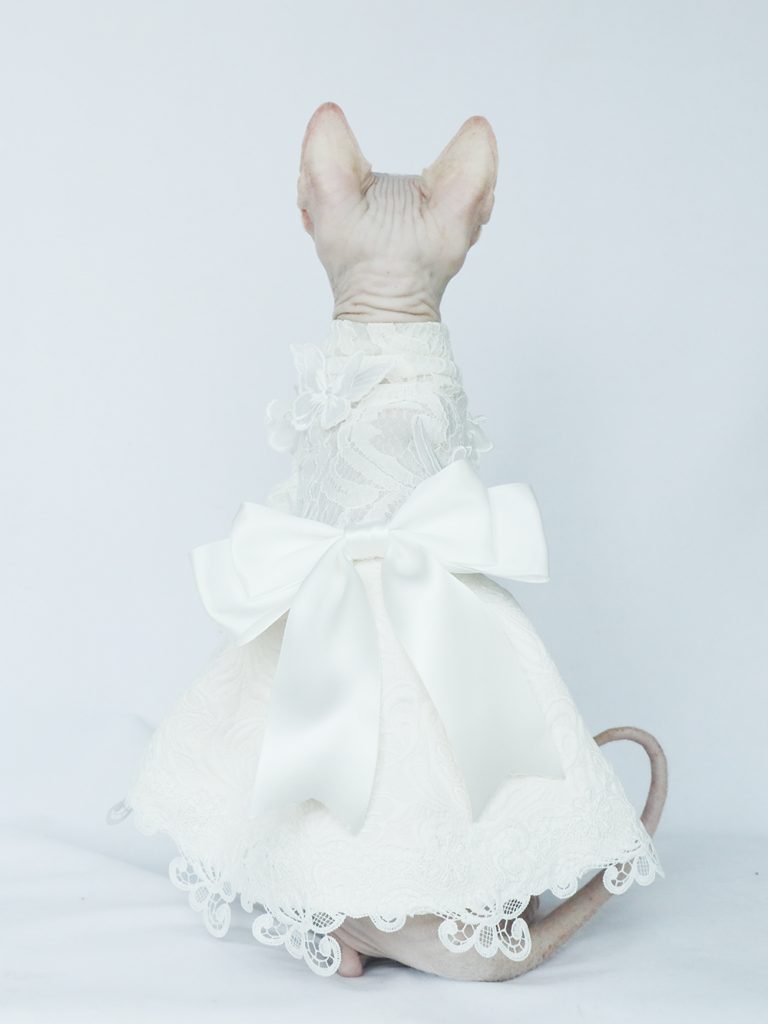Dress for Cats | Diamond Lace Wedding Dress, Sphynx Cat Dress