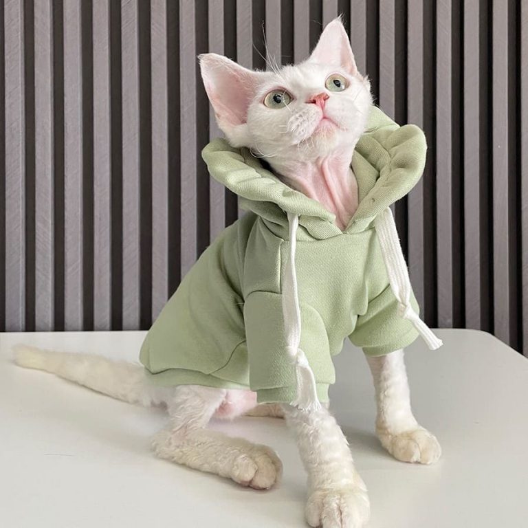 Hoodies for Cats | Cat Hoodie with Flower Hat for Sphynx Cat