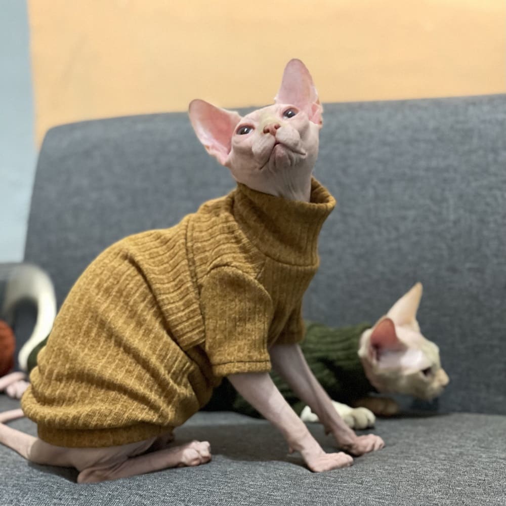 Cats Sweaters | Sphynx Cat Turtleneck, Hairless Cat Turtleneck
