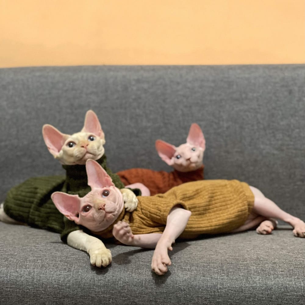 Cats Sweaters | Sphynx Cat Turtleneck, Hairless Cat Turtleneck