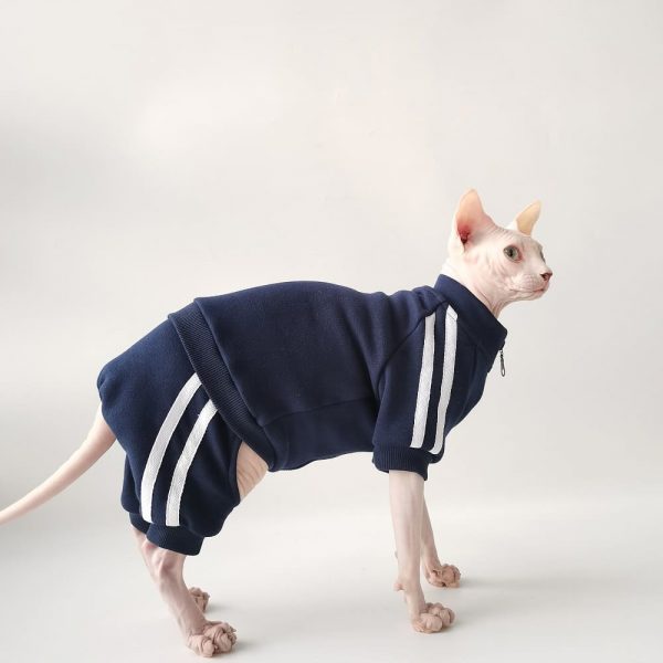 Sport Jacket for Sphynx | Four-leg Jackets for Cats