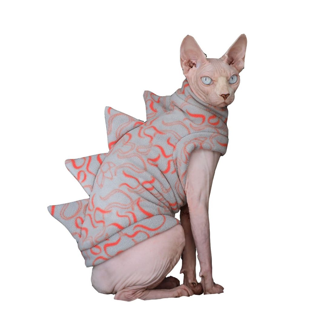 Funny Cat Costumes | Funny Cat Outfits, Cat Wearing Clothes