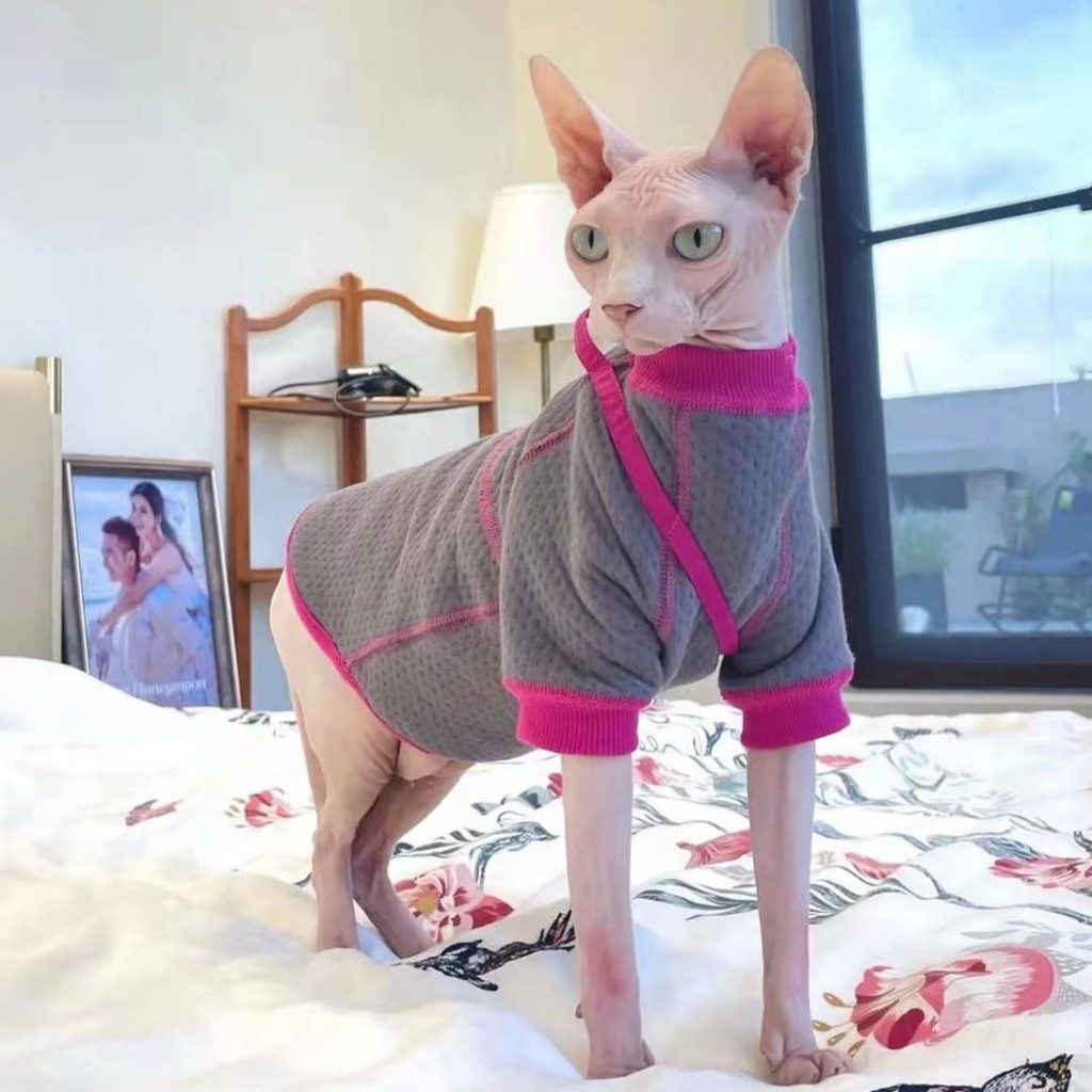 Sphynx Cat Sweaters | Turtleneck Sweater for Cats, Sweater with A Bag
