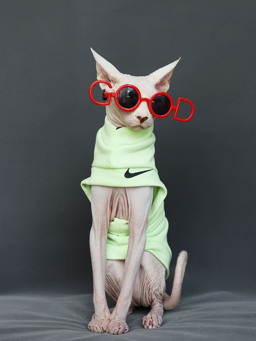 Sphynx Costume | "Nike" One Hole Shirt Cat, Sphynx Cat Clothes for Cats