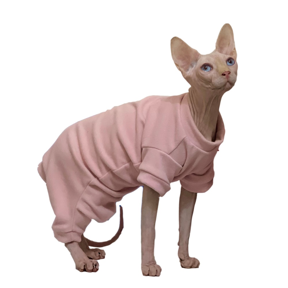 Funny Cat Costumes | Funny Cat Outfits, Cat Wearing Clothes