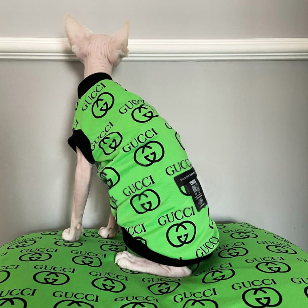 Designer Kitten Clothes | Green "Gucci" Tanktop for Sphynx Cat 🐈