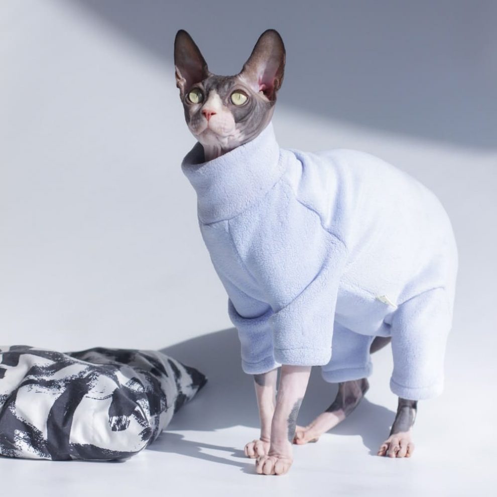 Turtleneck for Cat | Three Colors Turtleneck for Cat, Sphynx Sweater