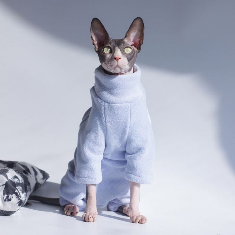 Turtleneck for Cat | Three Colors Turtleneck for Cat, Sphynx Sweater