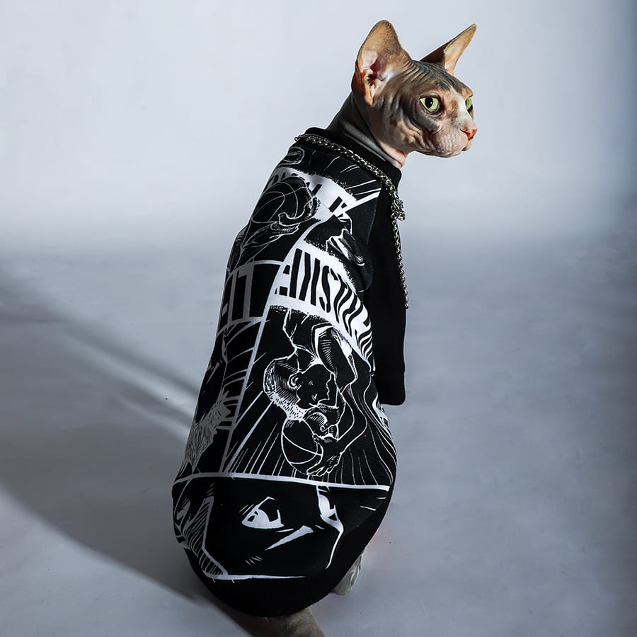 Black Shirt for Sphynx | Best Breathable Shirt for Sphynx Cat