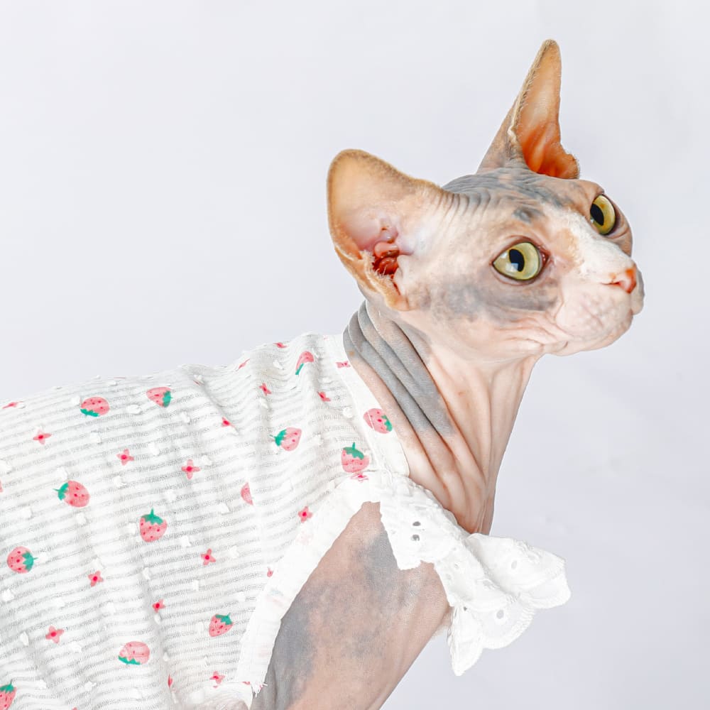 Flying Sleeve Dress for Cat | Breathable Summer Dress for Sphynx Cat