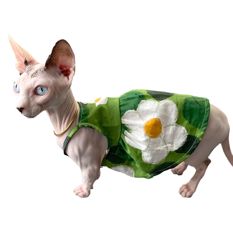 Kitten Outfits for Cats | Cute Pink Bunny Outfit, Clothes for a Sphynx Cat