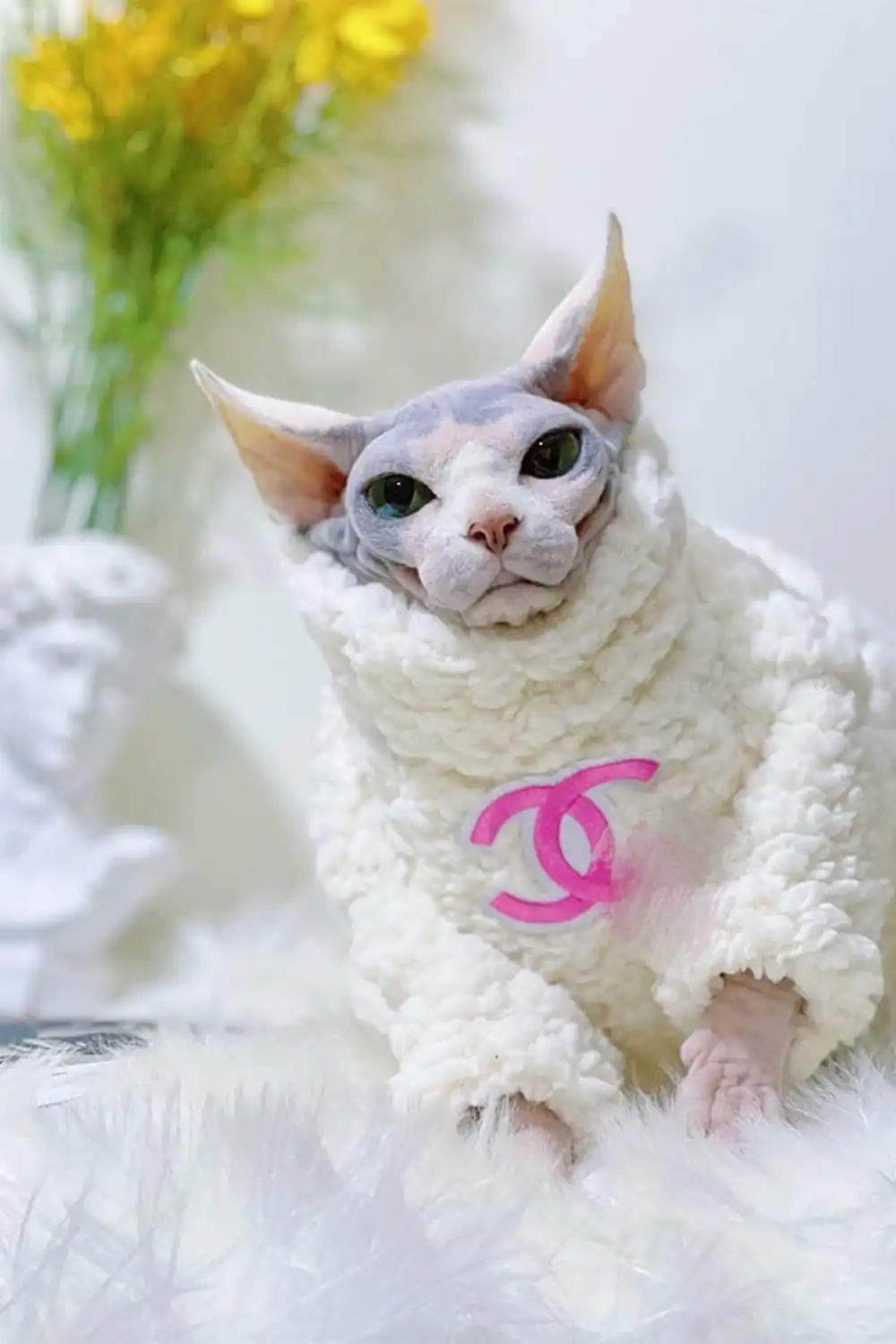 Sphynx Clothing for Cats | Lace Plaid Tanktop for Sphynx Cat